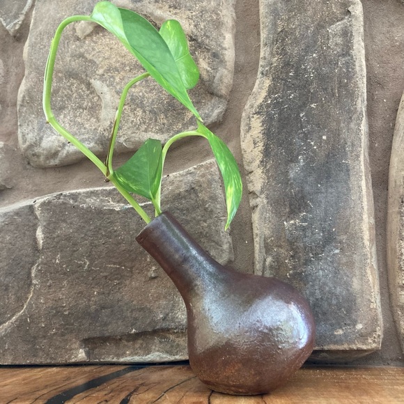 Accents | Ceramic Plant Cutting Vase Or Bud Vase | Poshmark
